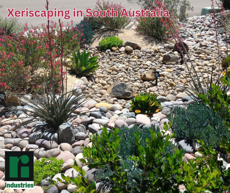 Xeriscaping in South Australia: Water-Smart Landscaping Tips